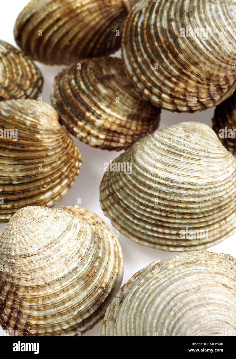 057734 hi-res stock photography and images - Alamy