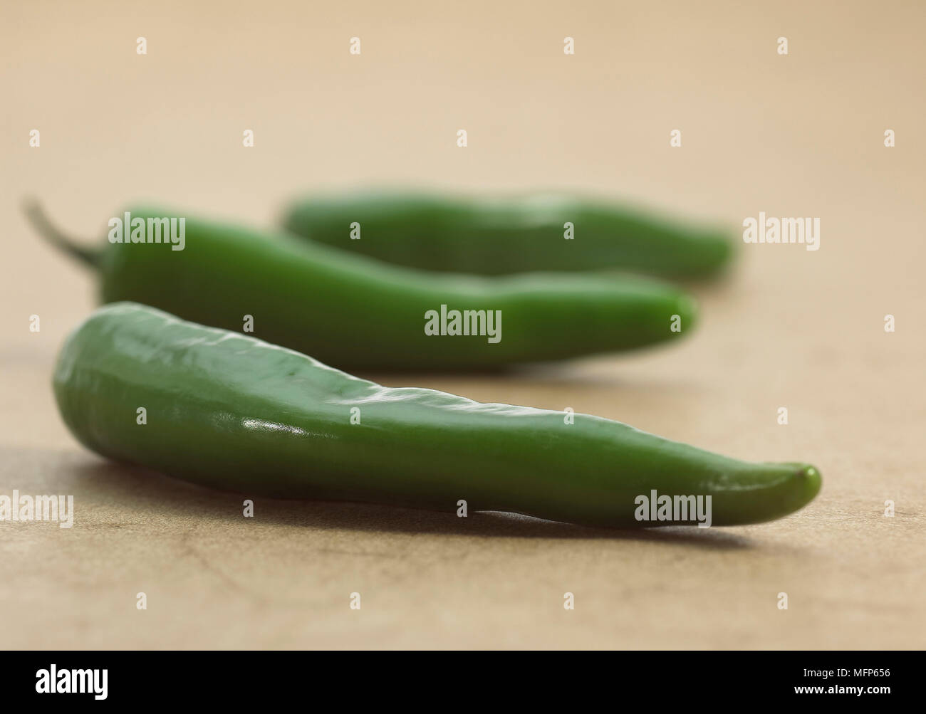 Green Chili Pepper, capsicum annuum Stock Photo - Alamy