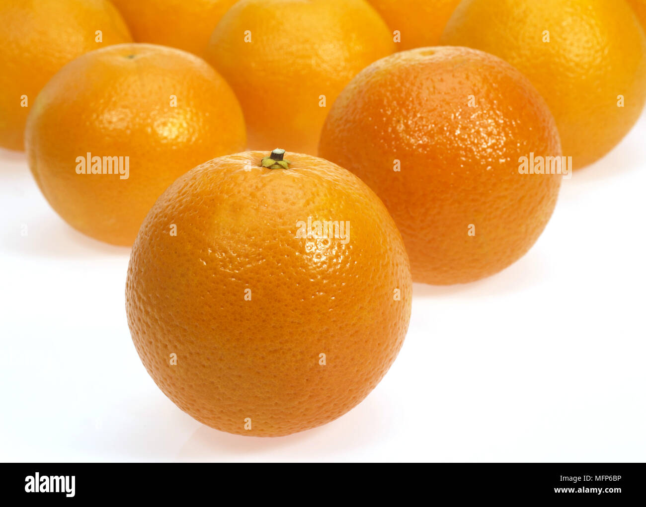 Orange, citrus sinensis, Fruits against White Background Stock Photo ...