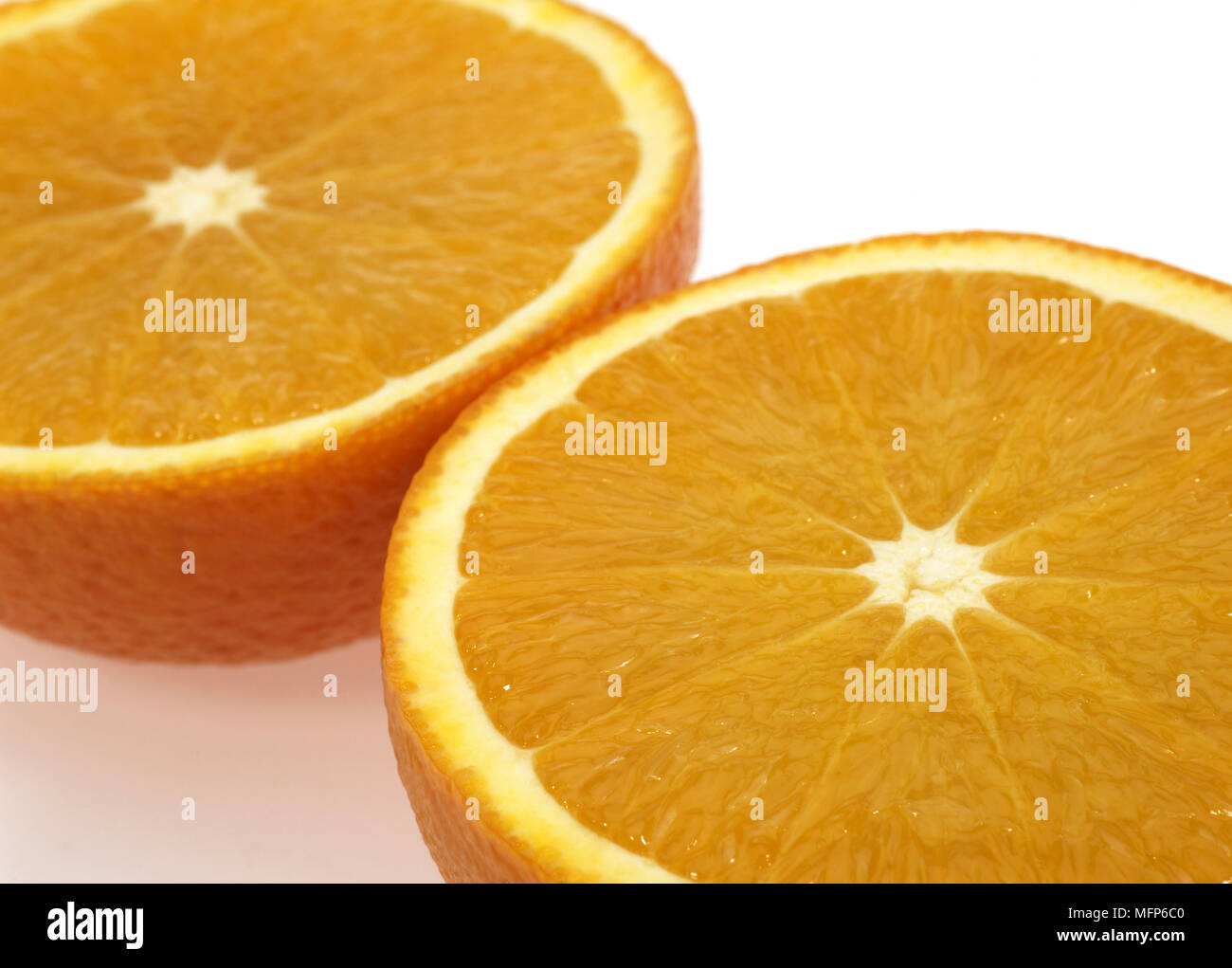 Orange, citrus sinensis, Fruits against White Background Stock Photo ...