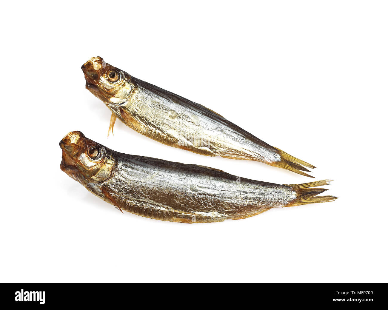 Sprat Fish, sprattus sprattus, Smoked Fishes against White Background ...