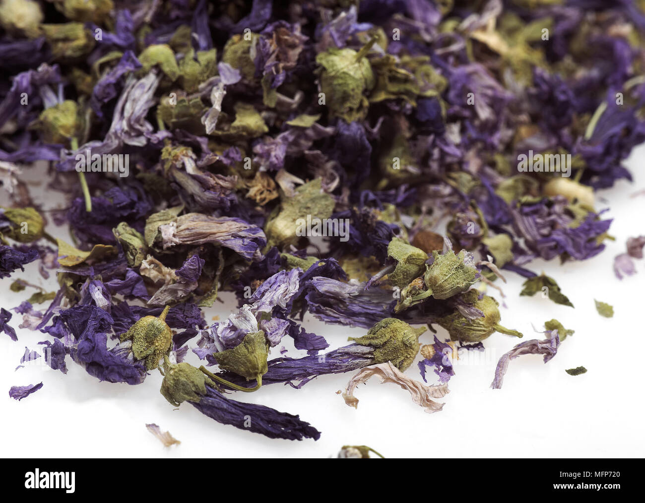 Dry Mallow Flower for Infusion Stock Photo - Alamy