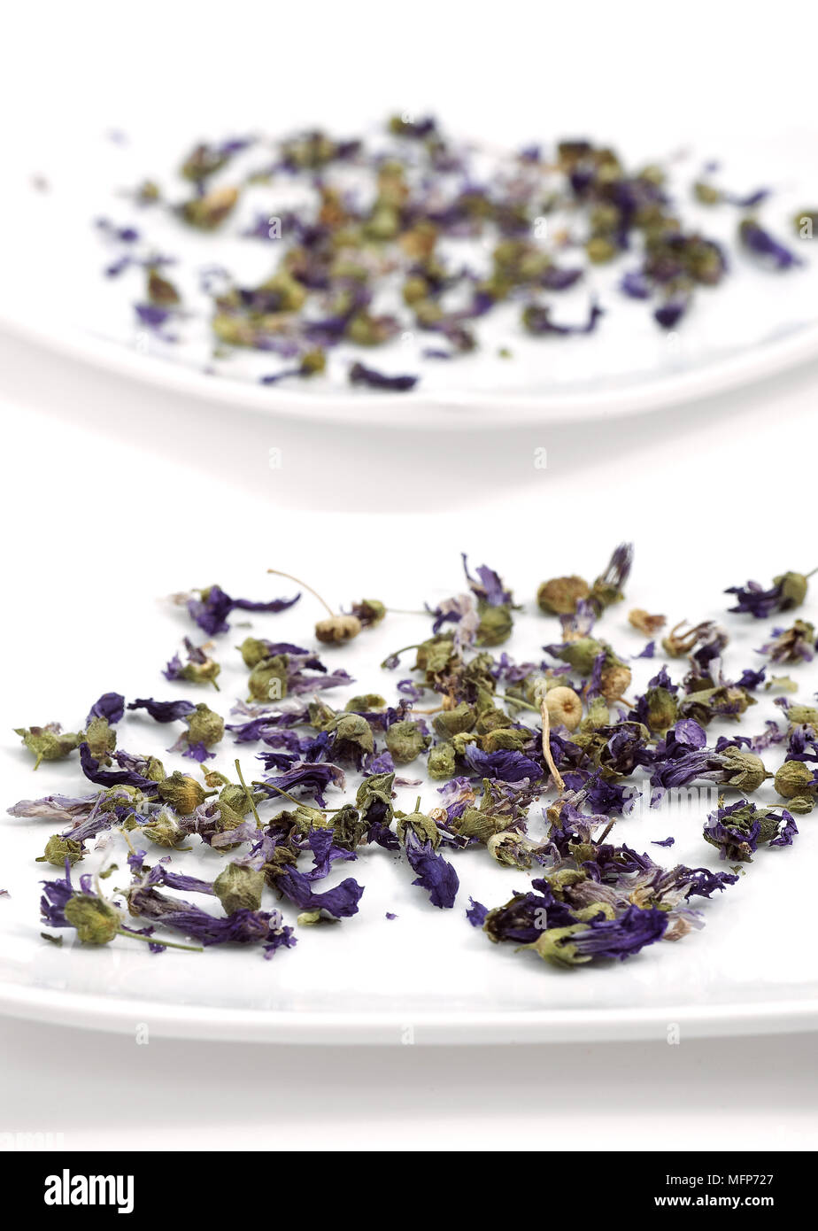 Dry Mallow Flower for Infusion Stock Photo - Alamy