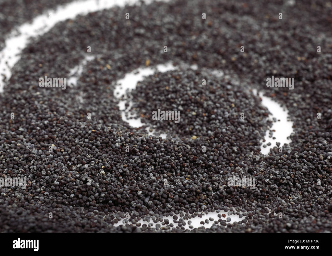 Poppy Seeds, papaver sp., Seeds against White Background Stock Photo ...