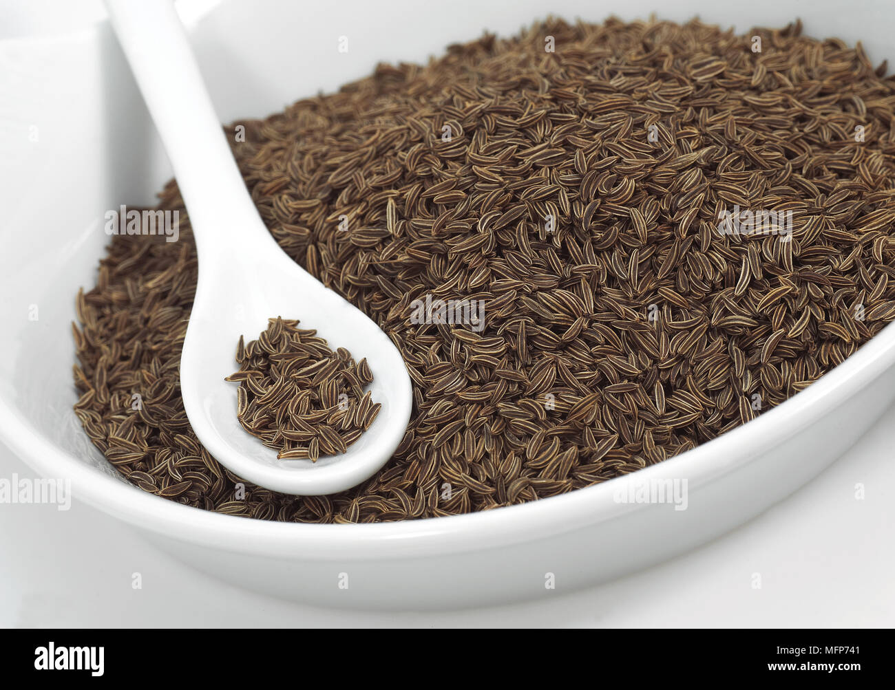 Caraway, carum carvi, Seeds against White Background Stock Photo - Alamy