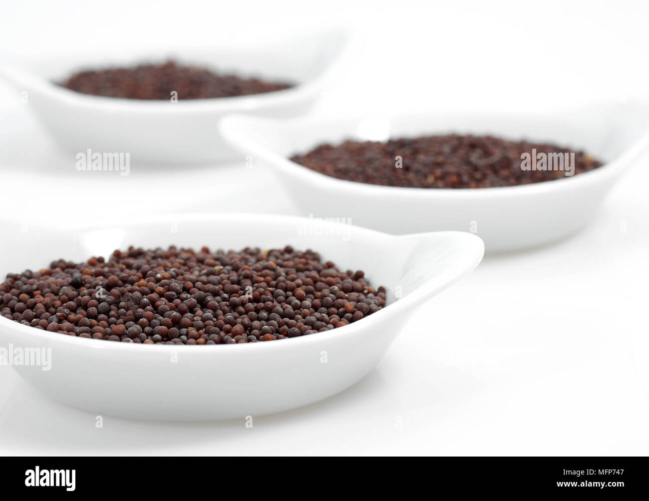 Sinapis nigra hi-res stock photography and images - Alamy