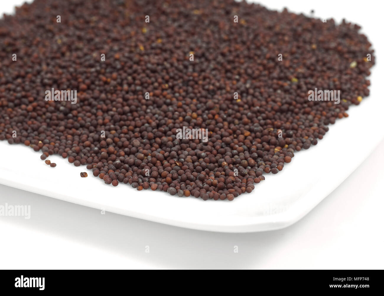 Sinapis nigra hi-res stock photography and images - Alamy