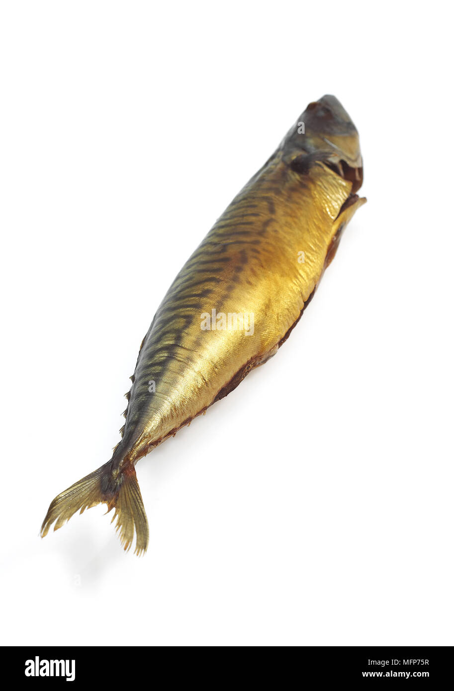 Smoked Mackerel, scomber scombrus, Fish against White background Stock ...