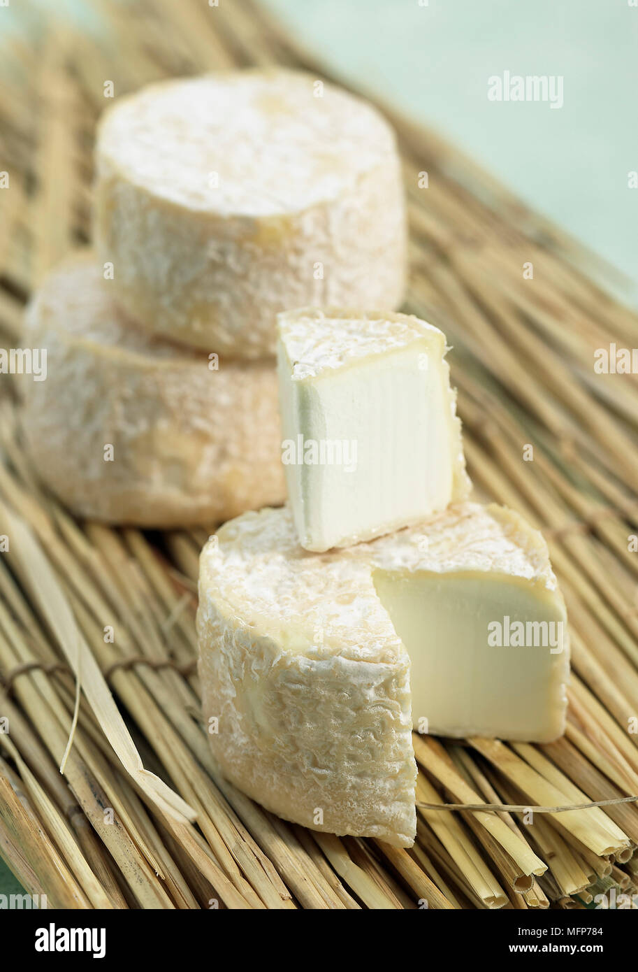 French Cheese Called Crottin, Cheese made with Goat Milk Stock Photo ...
