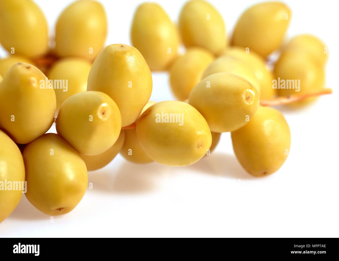 Fresh Dates, phoenix dactylifera, Fruits against White Background Stock ...