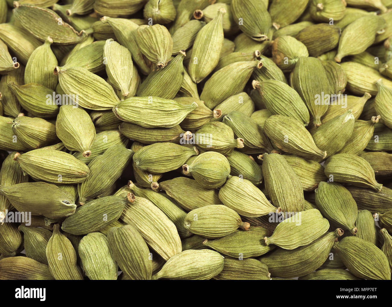 Elettaria cardamomum hi-res stock photography and images - Alamy