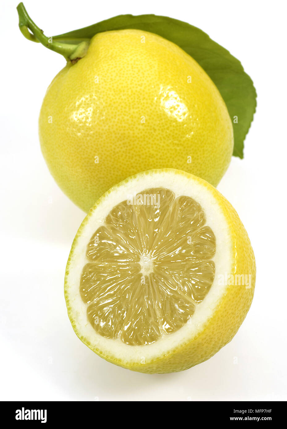 Yellow Lemon, citrus limonum, Fruit against White Background Stock ...