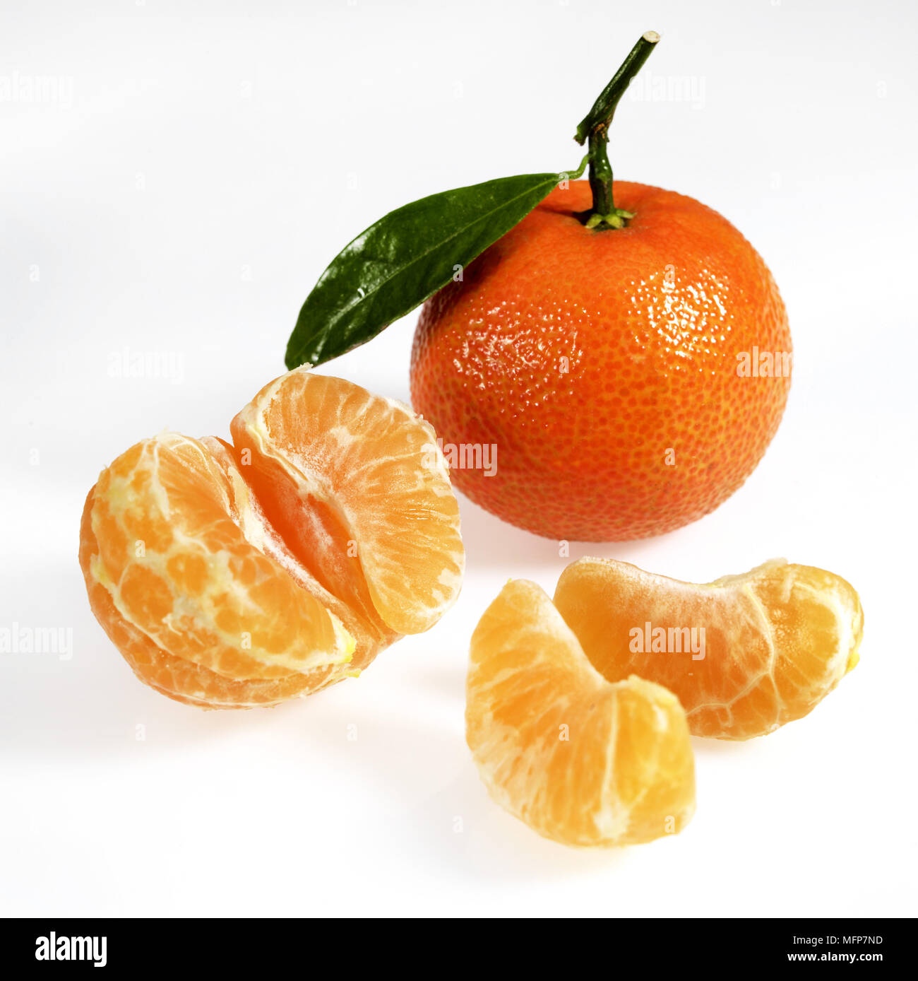 Clementine, citrus reticulata, Fruit against White Background Stock ...