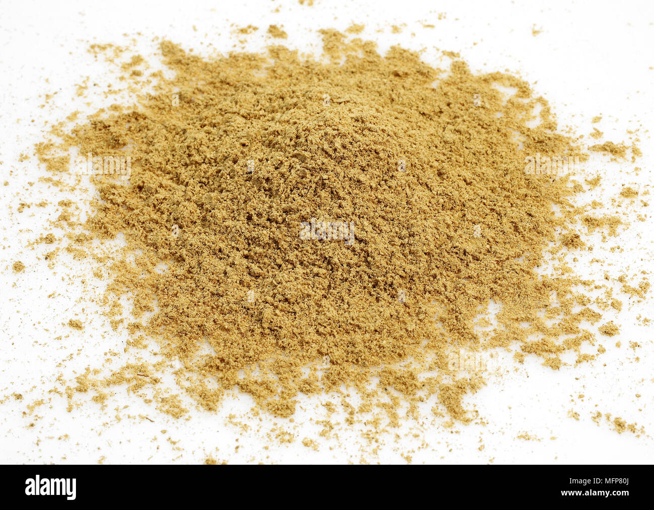 Ginger Powder, zingiber officinale against White Background Stock Photo ...