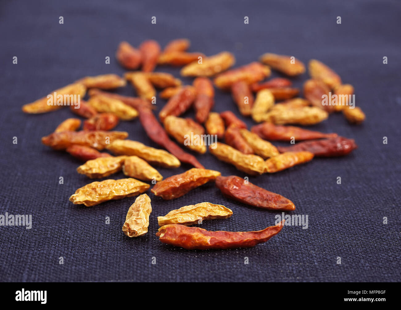 Bird pepper hi-res stock photography and images - Alamy