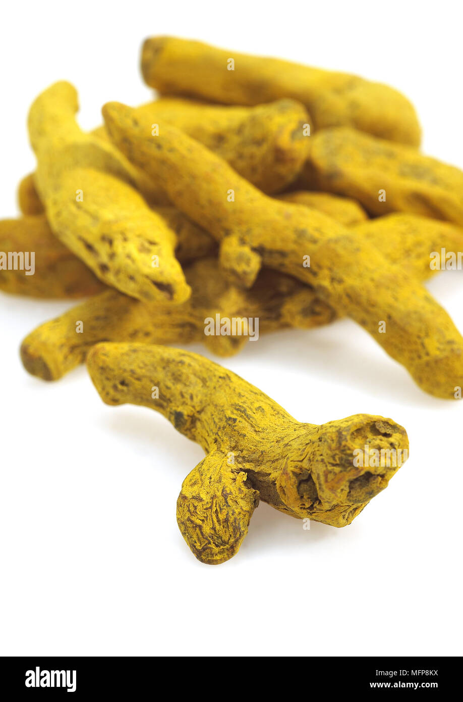 Root of Turmeric, curcuma longa, an Indian Spice against White ...