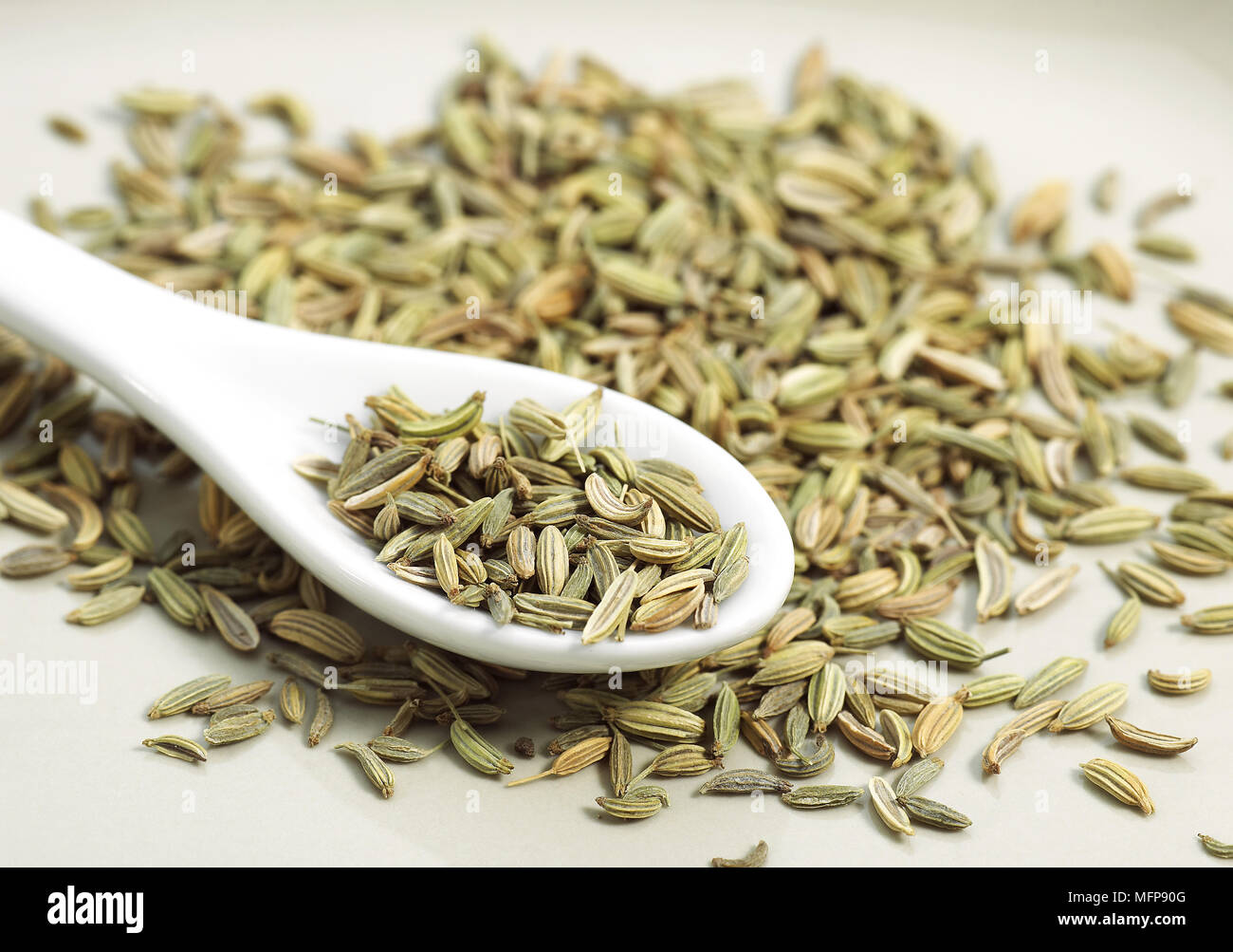 Seeds of Fennel, foeniculum vulgare Stock Photo - Alamy