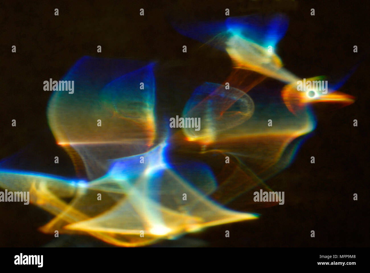 Obscure shapes hi-res stock photography and images - Alamy