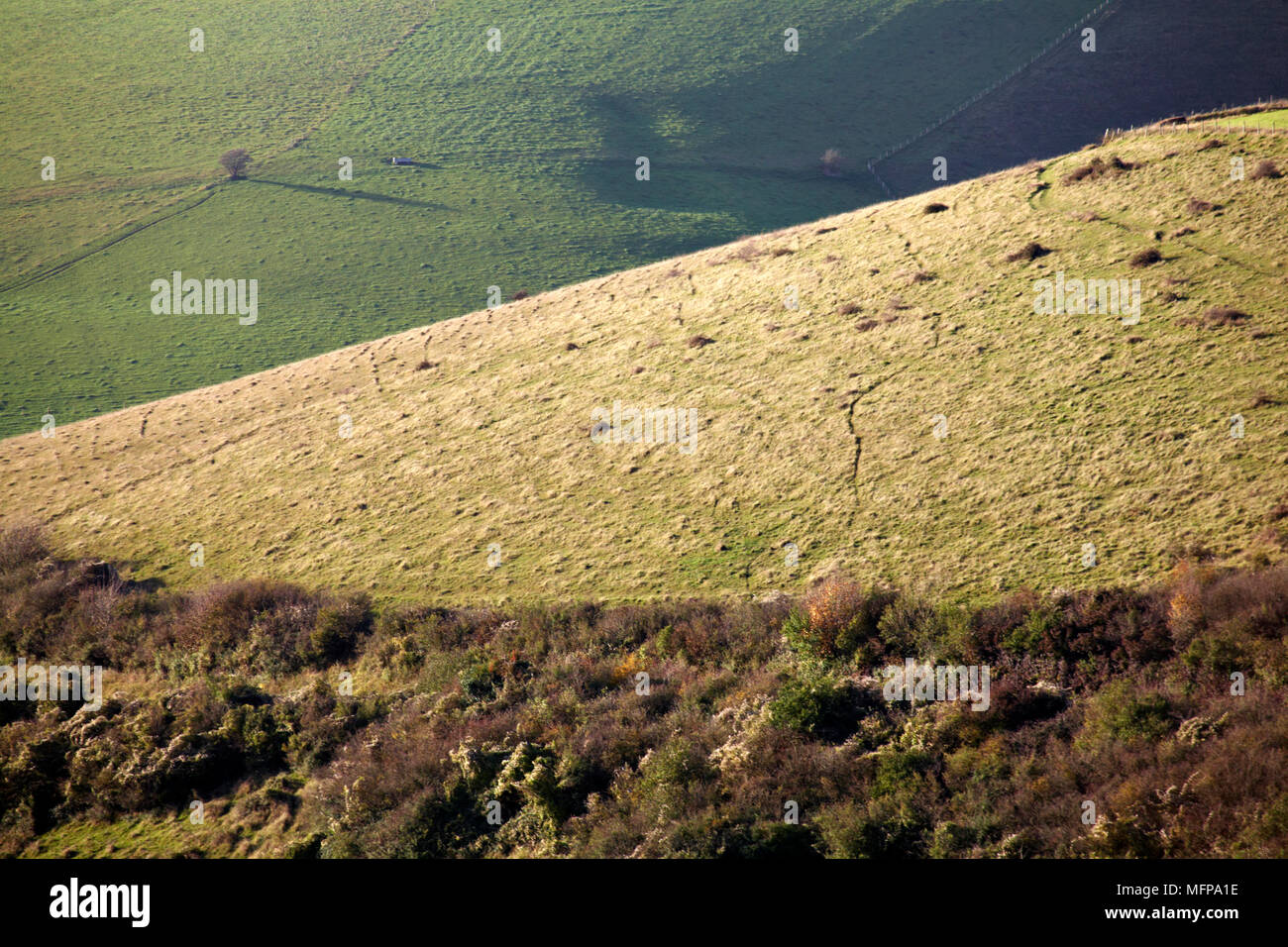 Patterns of nature in autumn at Dorset Stock Photo - Alamy