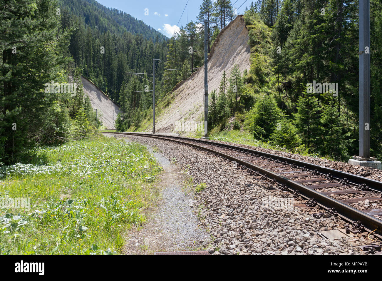 Albula line hi-res stock photography and images - Alamy
