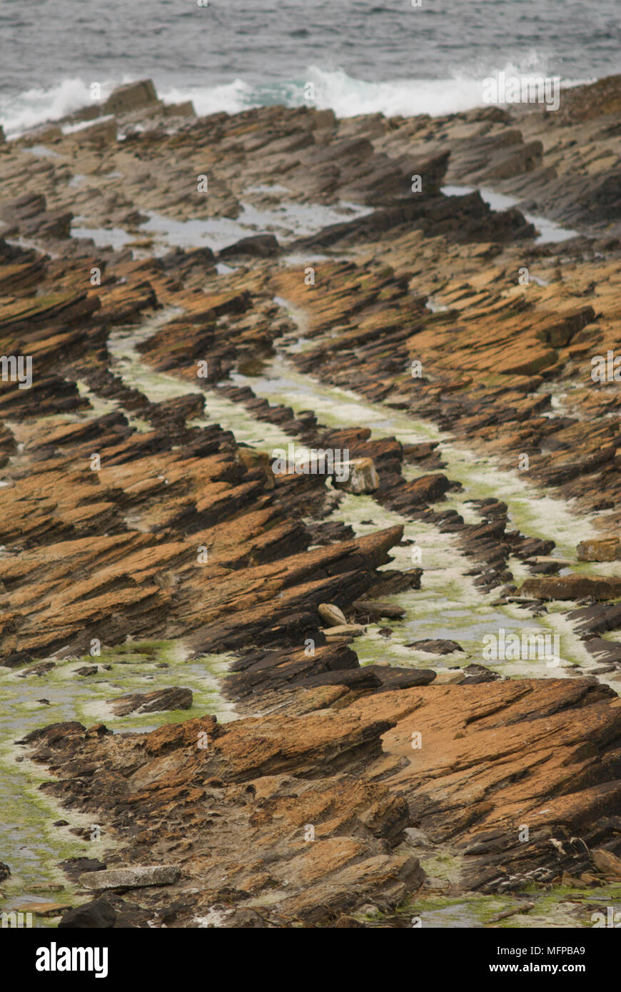 West mainland orkney hi-res stock photography and images - Alamy