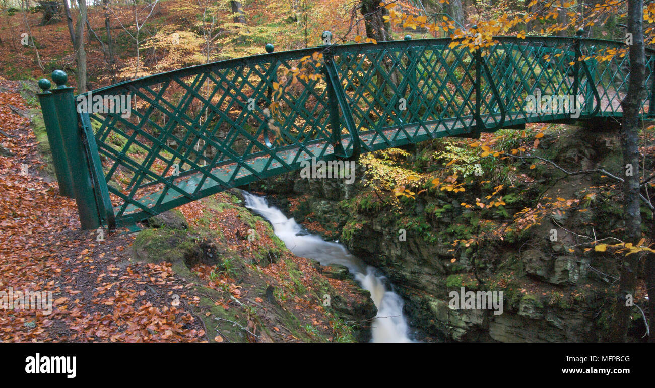 Narrow green iron bridge at Falls of Tarnash surrounded by bright ...