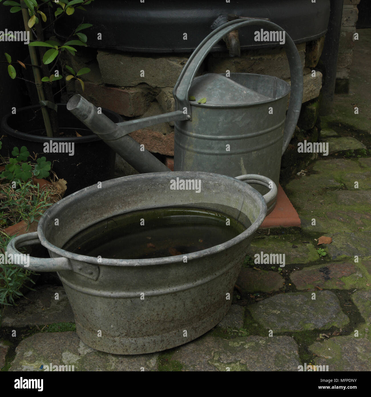 Galvanised steel watering can hi-res stock photography and images - Alamy