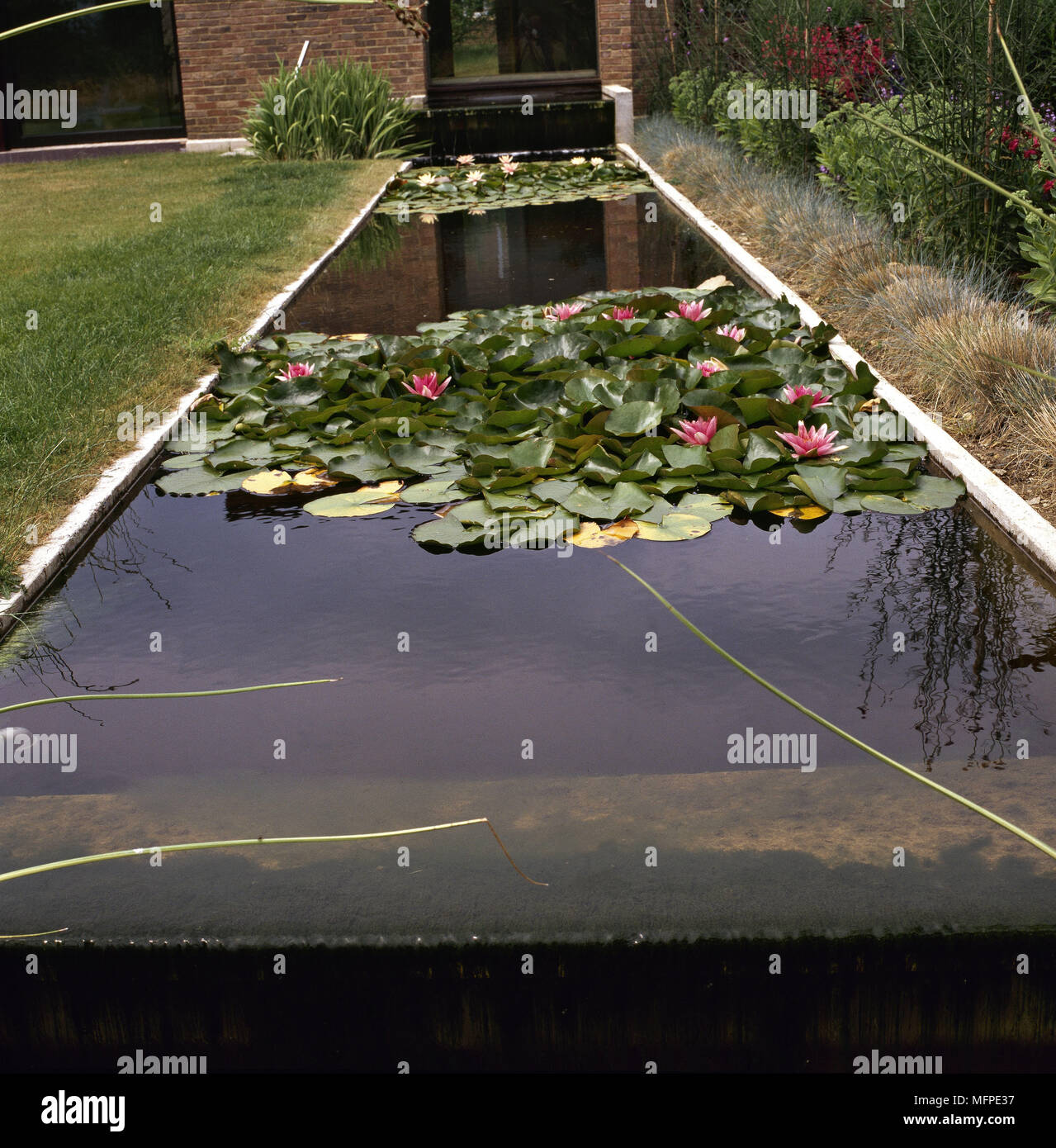 Contemporary water feature with water lilies Stock Photo - Alamy