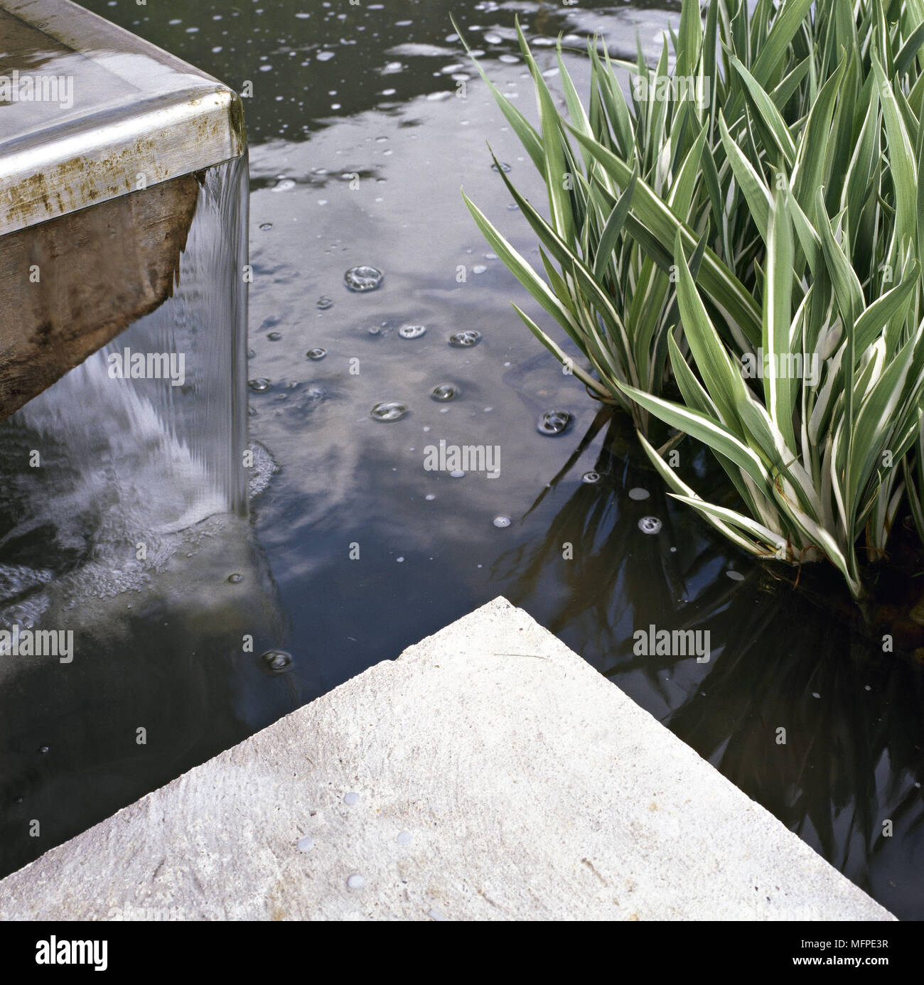 Water running from feature into pond with grassy plants Stock Photo - Alamy