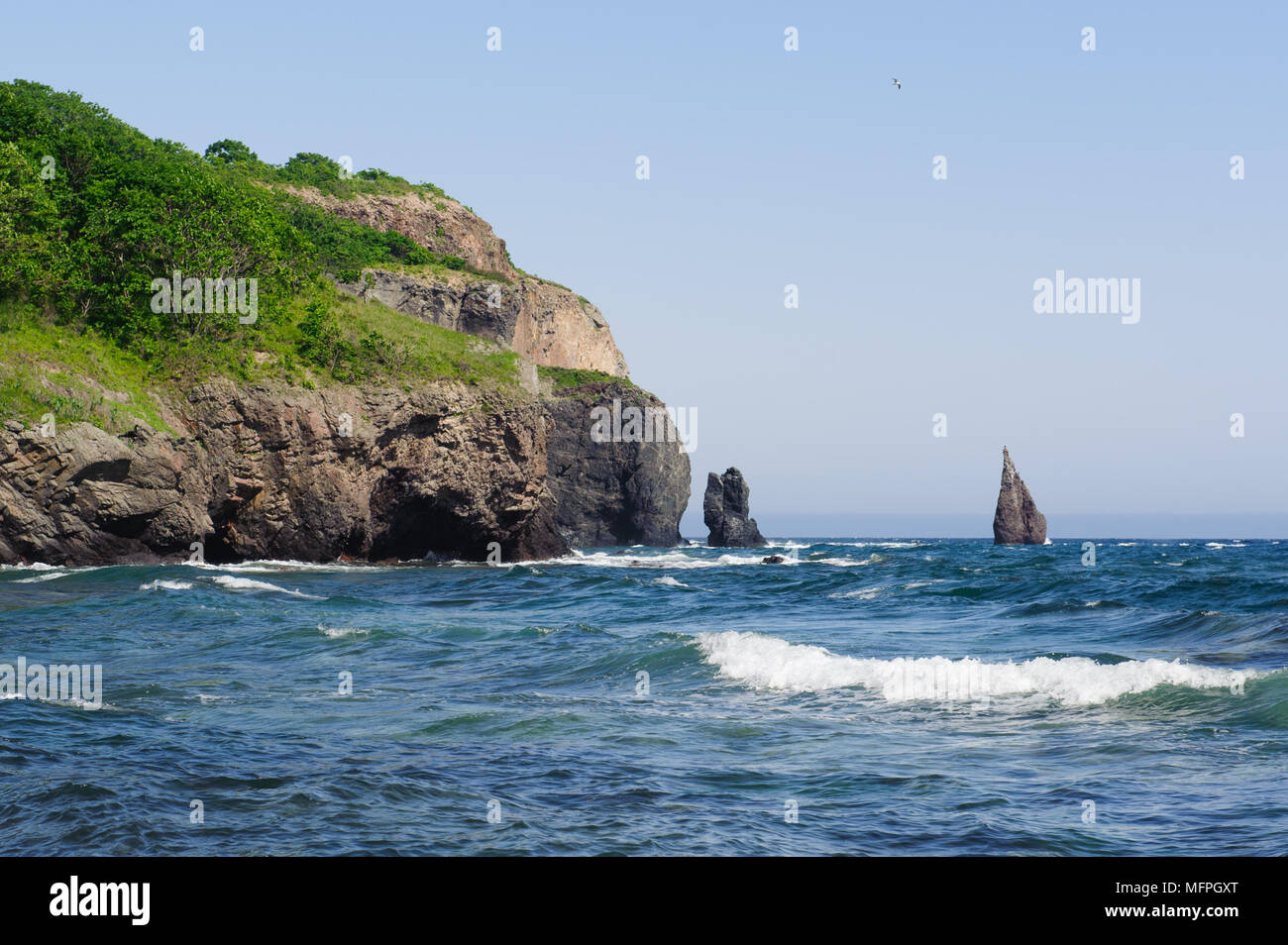 Green trees and meadow rocks near the sea seascape Stock Photo - Alamy