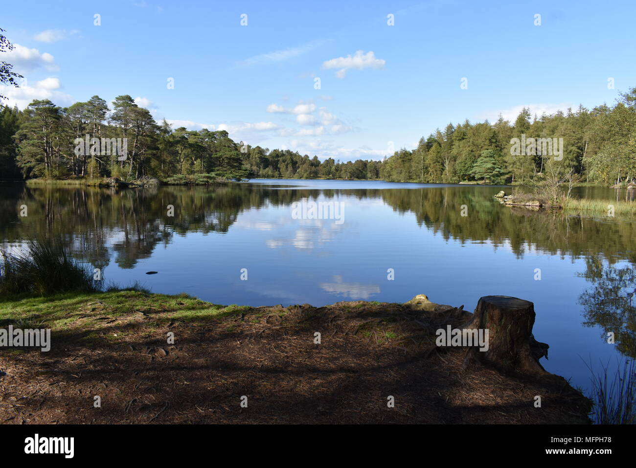 Stock scenes of Yorkshire Stock Photo - Alamy