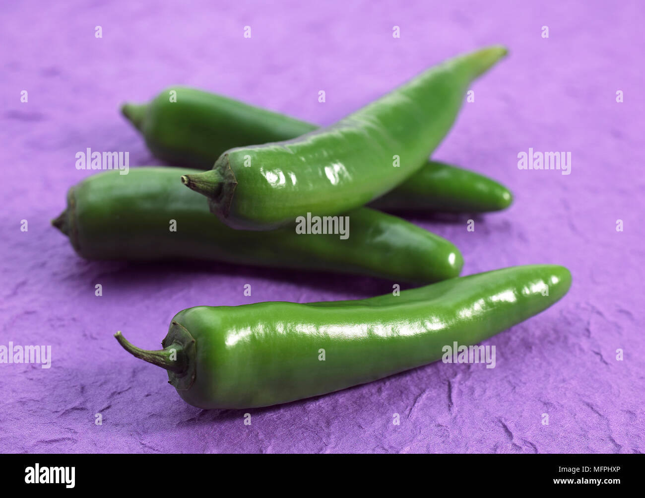 Green Chili Pepper, capsicum annuum Stock Photo - Alamy