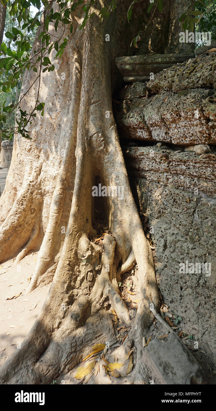 ancient temple complex of ankgor wat in cambodia Stock Photo - Alamy