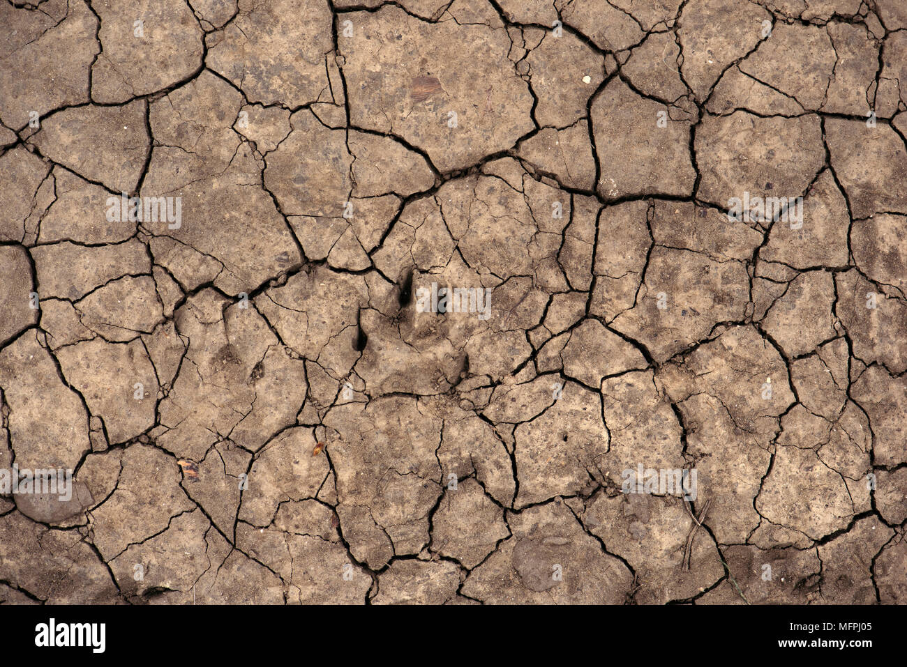 Cracked dry soil ground texture for drought season background Stock ...