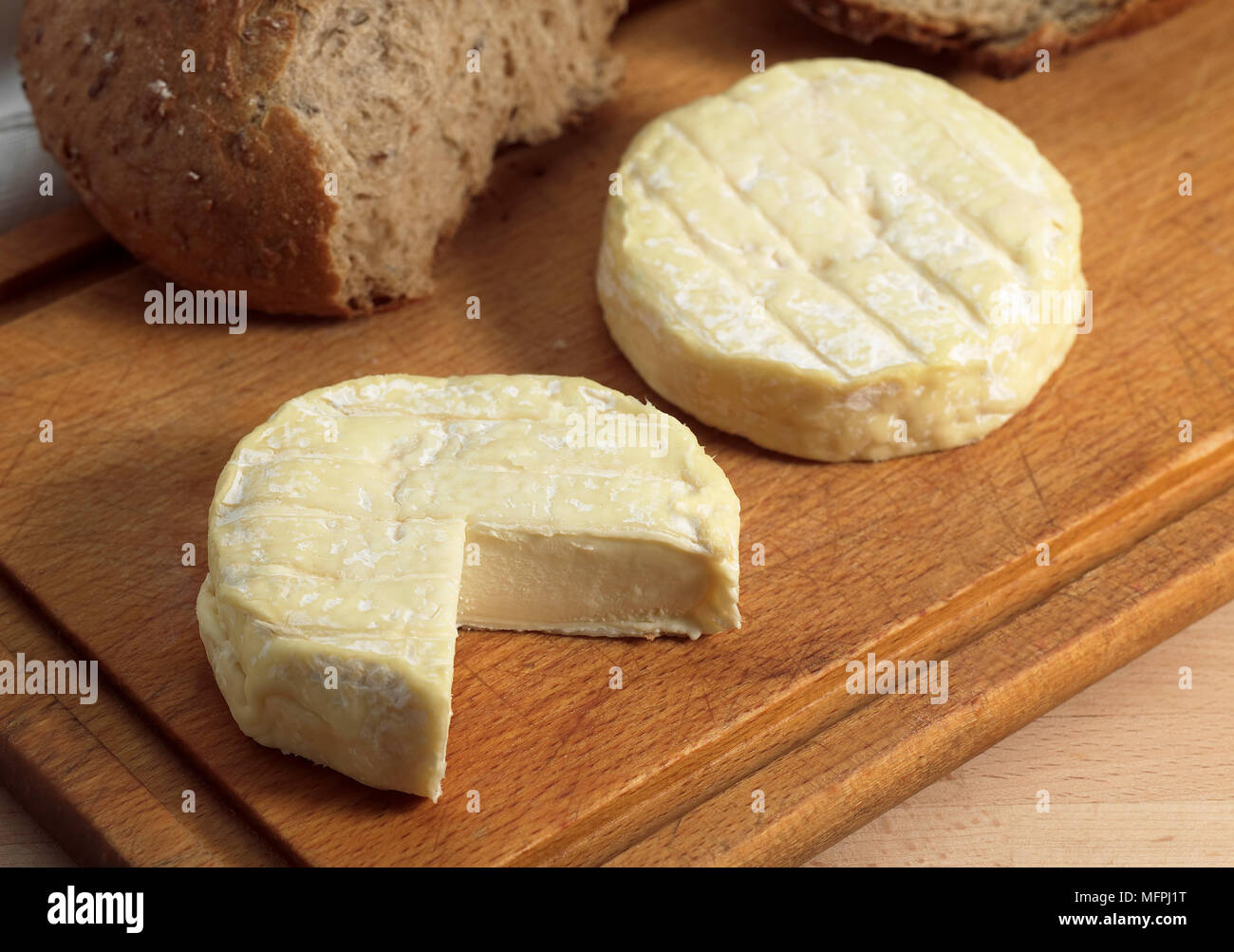 French Cheese Called Saint Marcelin, Cheese produced from Cow's Milk ...