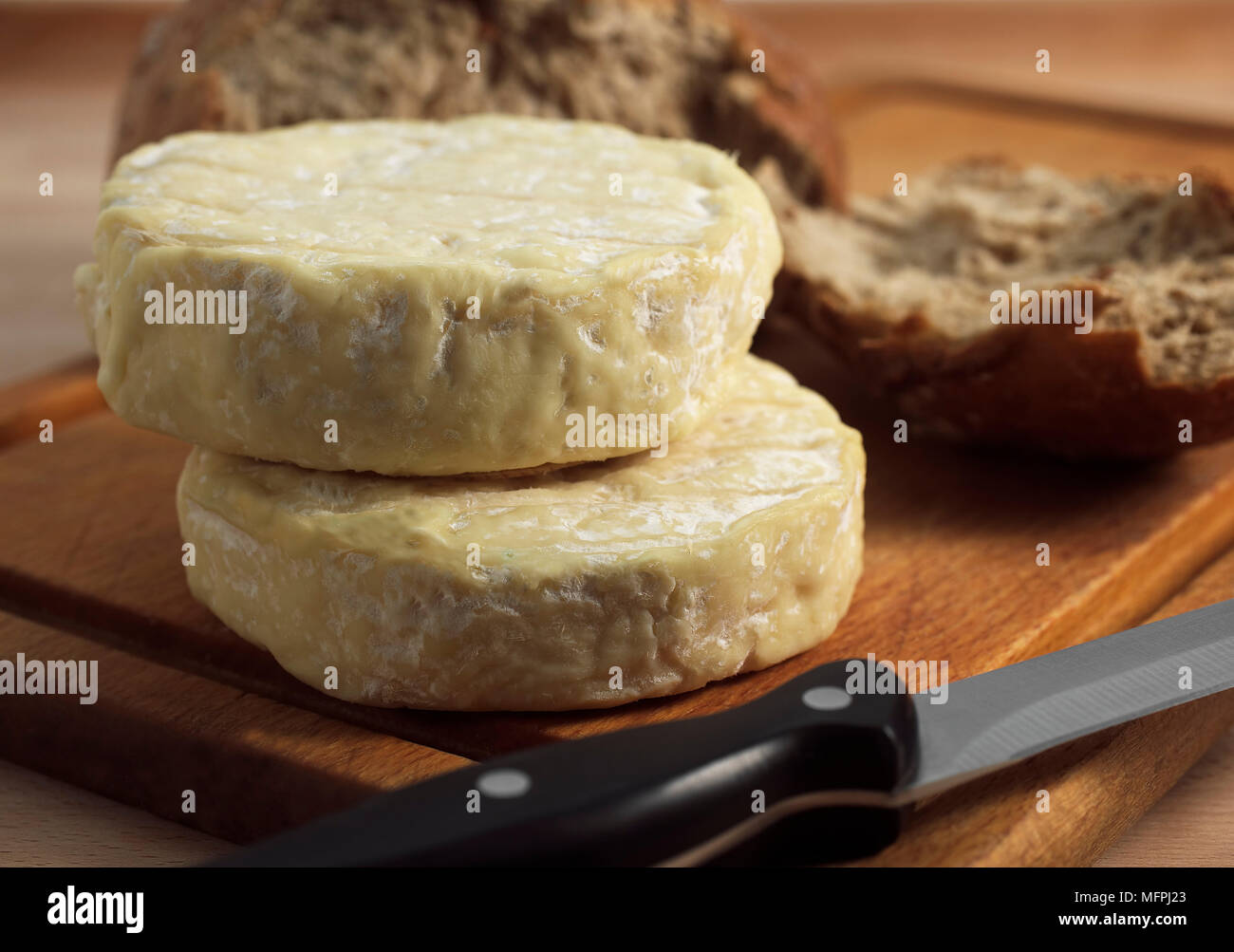 French Cheese Called Saint Marcelin, Cheese produced from Cow's Milk ...