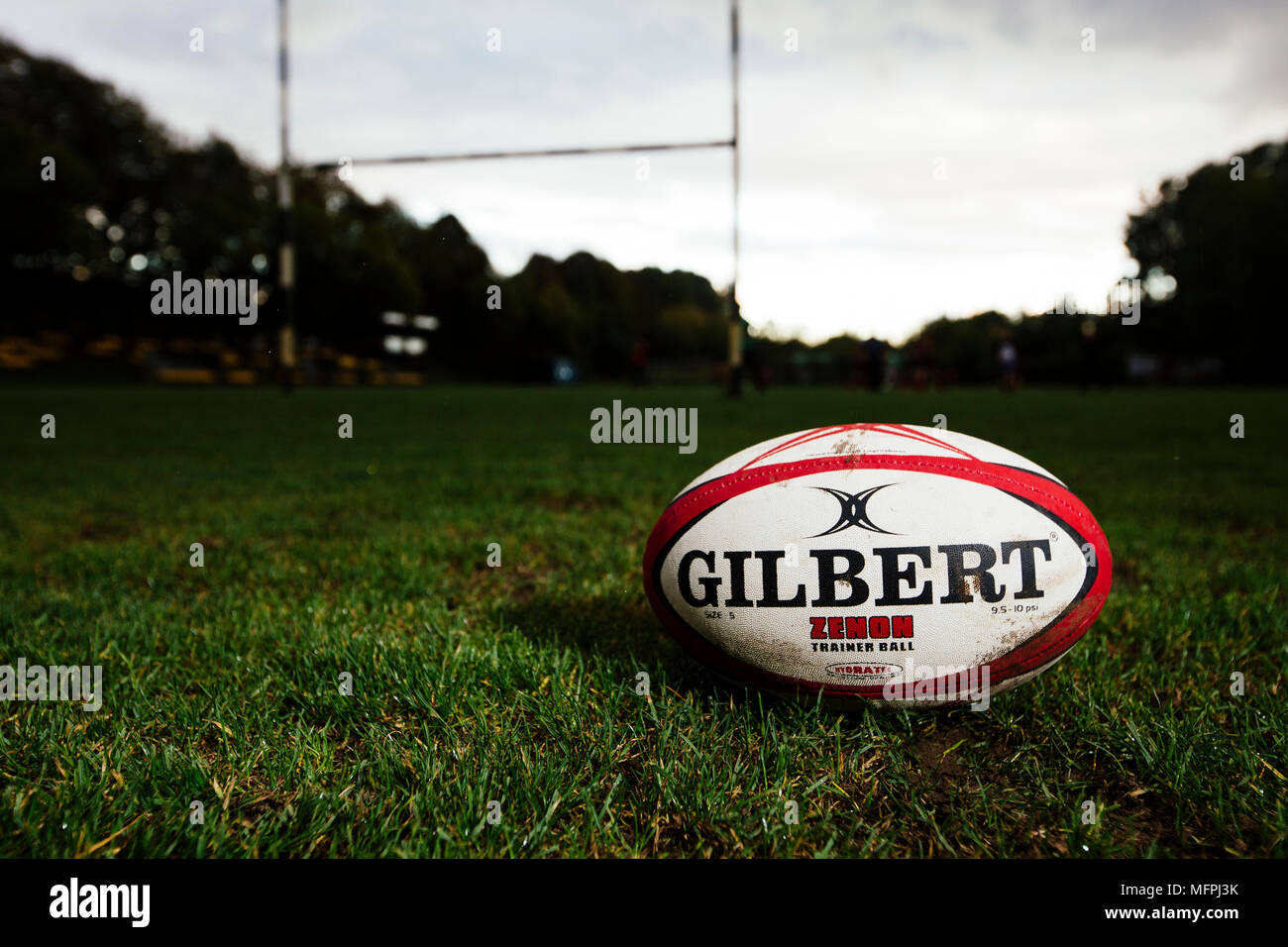 Rugby Ball Wallpaper