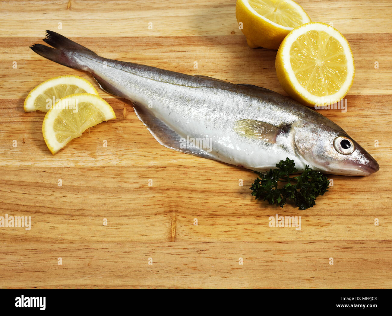 Whiting Merlangius Merlangus High Resolution Stock Photography and ...