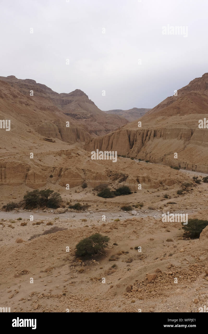 View of the Tze'elim canyon named for the lotus tree, which in biblical ...