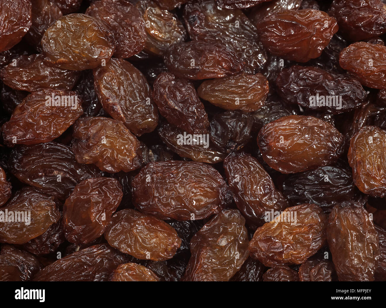 Currant, vitis vinifera apyrena, Black Corinth dried grape Fruits Stock ...