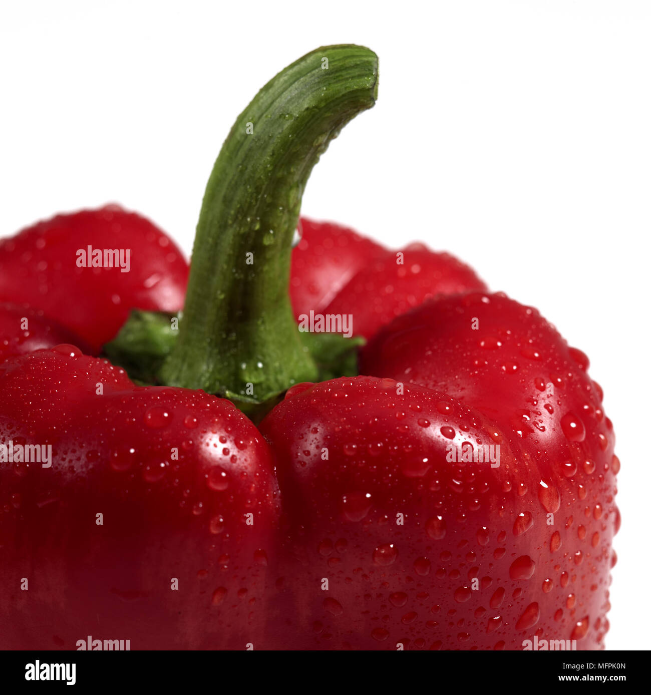 Sweet Red Pepper, capsicum annuum, Vegetable against White Background ...