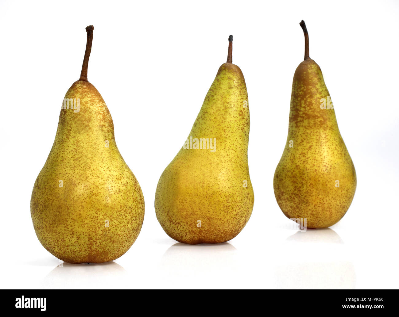 Conference Pear, pyrus communis, Fruits against White Background Stock ...