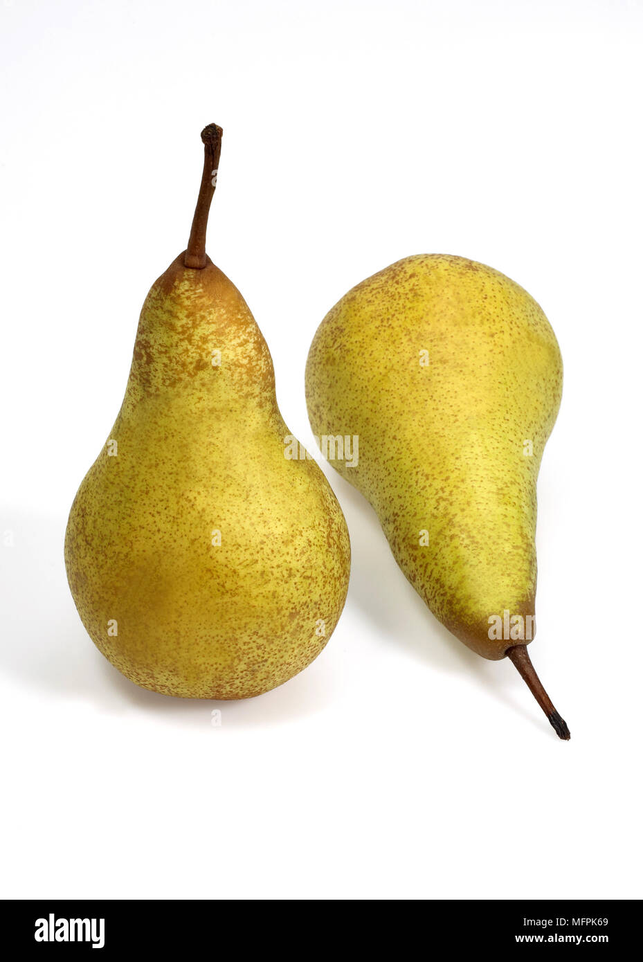Conference Pear, pyrus communis, Fruits against White Background Stock ...