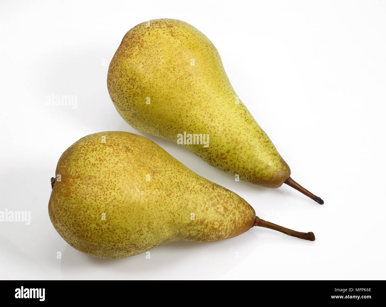 Conference Pear, pyrus communis, Fruits against White Background Stock ...