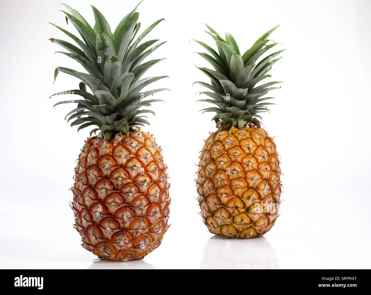 Pineapple, ananas comosus, Fruits against White Background Stock Photo ...