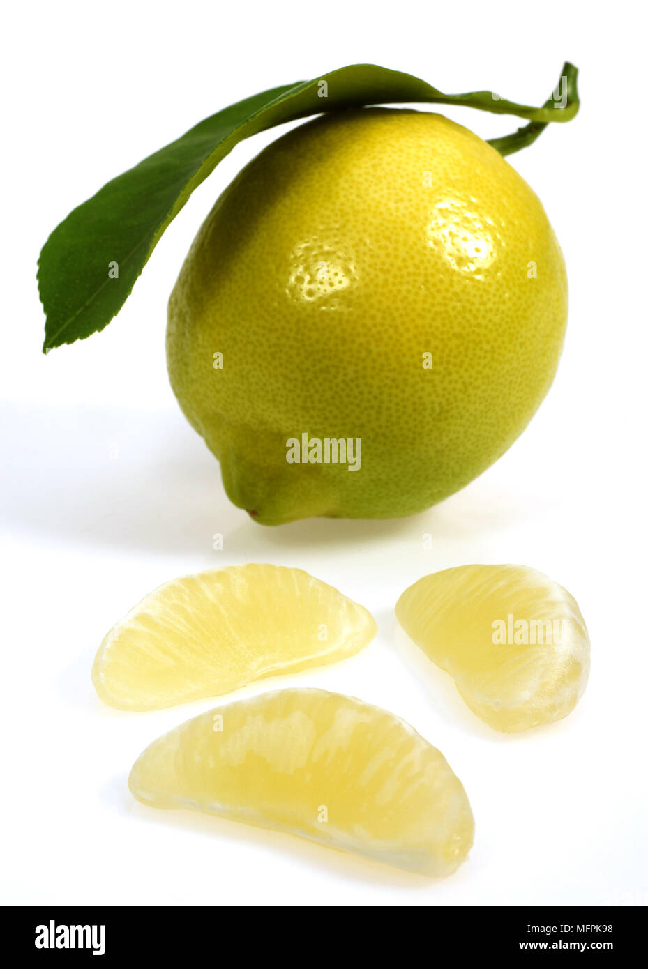 Yellow Lemon, citrus limonum, Fruits against White Background Stock ...