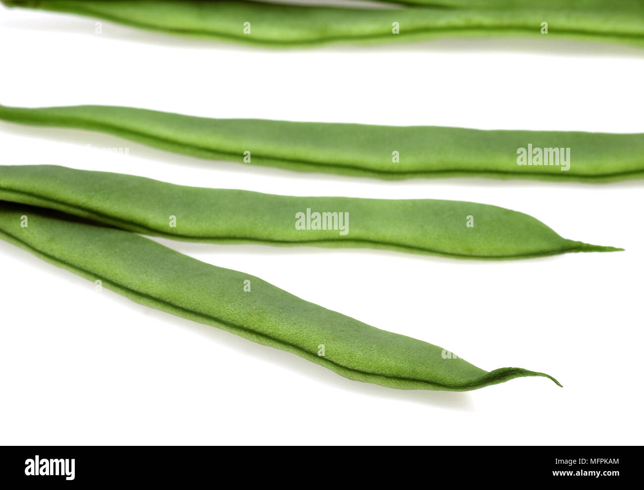 French Beans called Coco Plat, phaseolus vulgaris, Beans against White ...