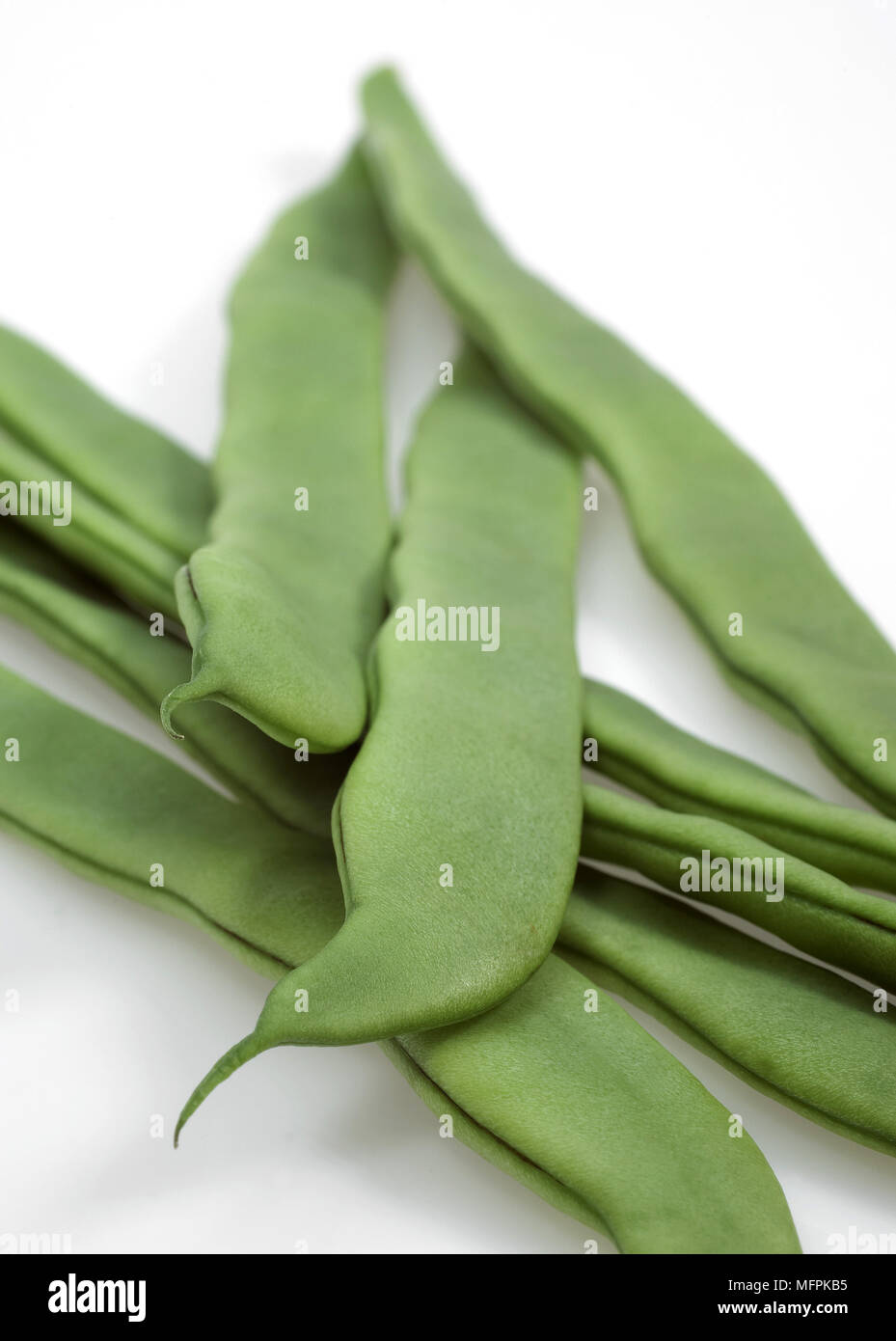 French Beans called Coco Plat, phaseolus vulgaris, Beans against White ...