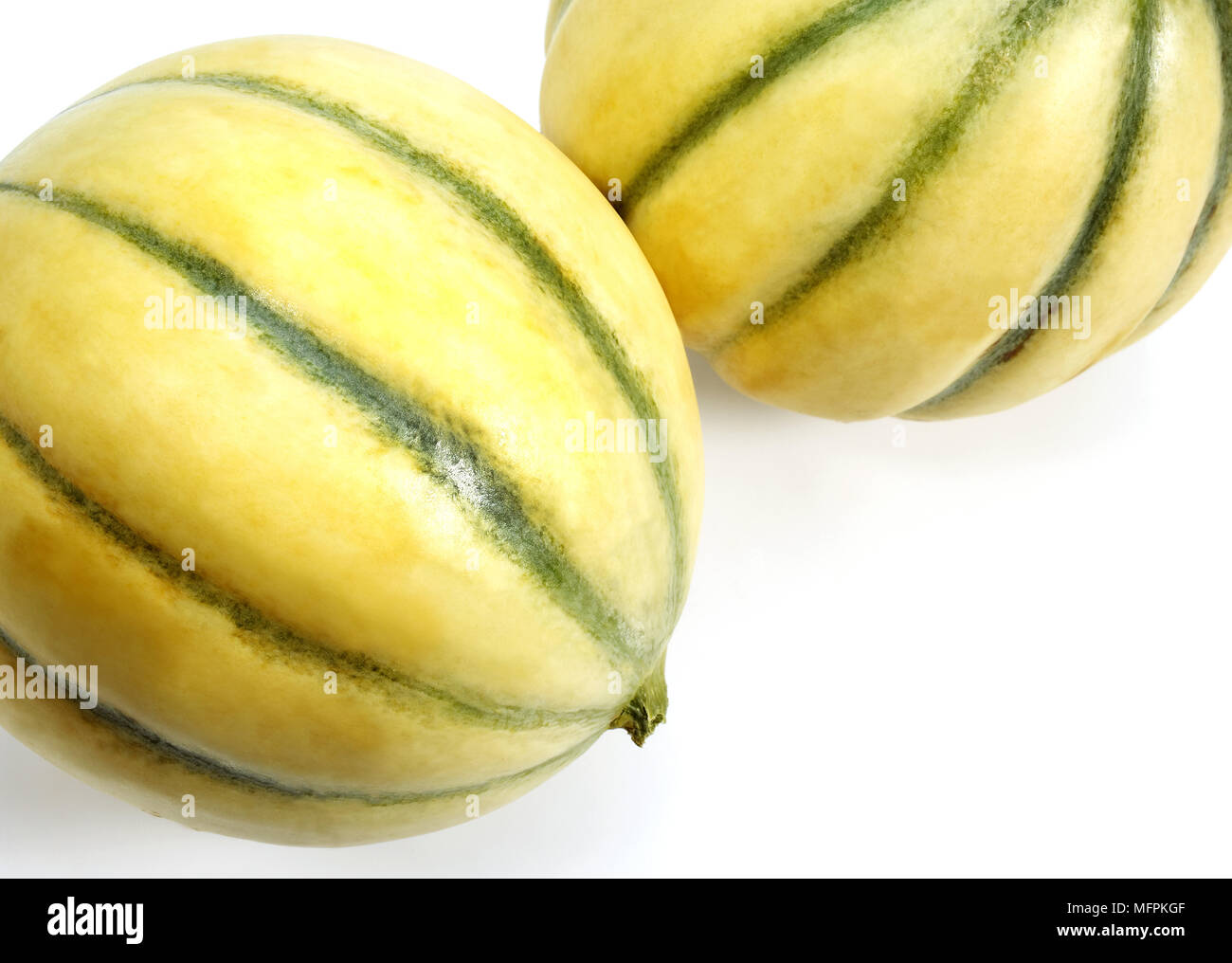 Cavaillon Melon, cucumis melo, Fruits on White Background Stock Photo ...