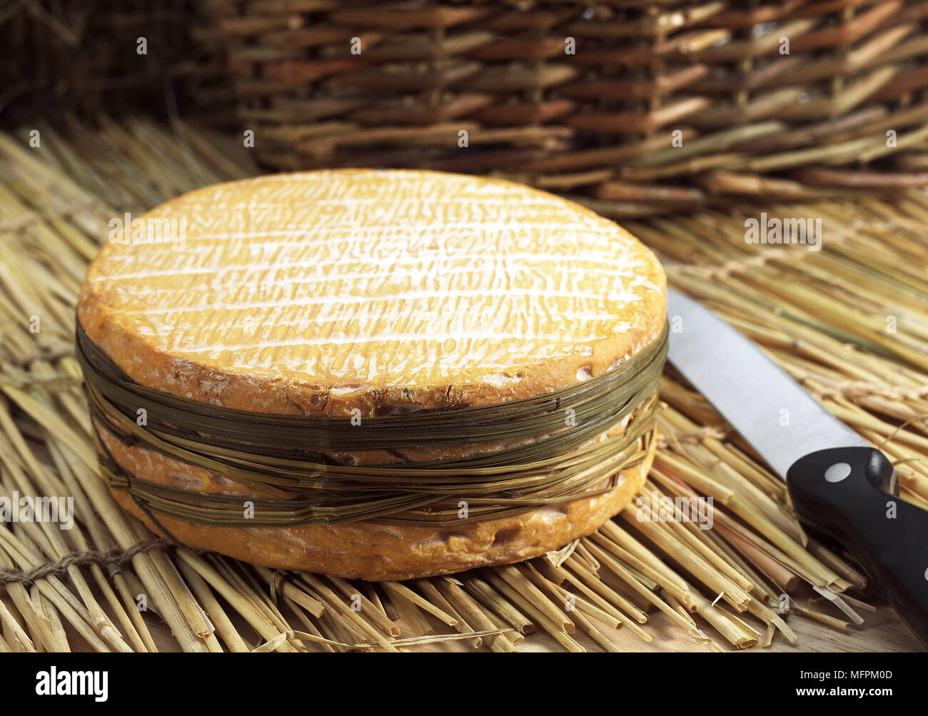Livarot, French Cheese produced in Normandy from Cow's Milk Stock Photo ...